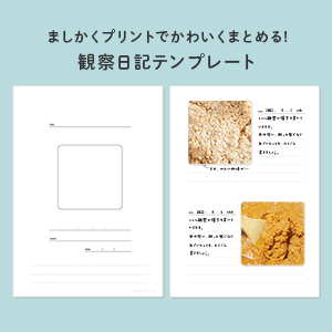 自由研究をオシャレにまとめる[観察記録ましかくプリントテンプレート ] | フツ子とまなぶ